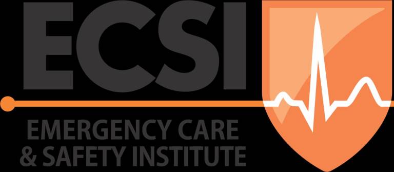 Curso de Primeros Auxilios Estándar con RCP y DEA. Certificación ...